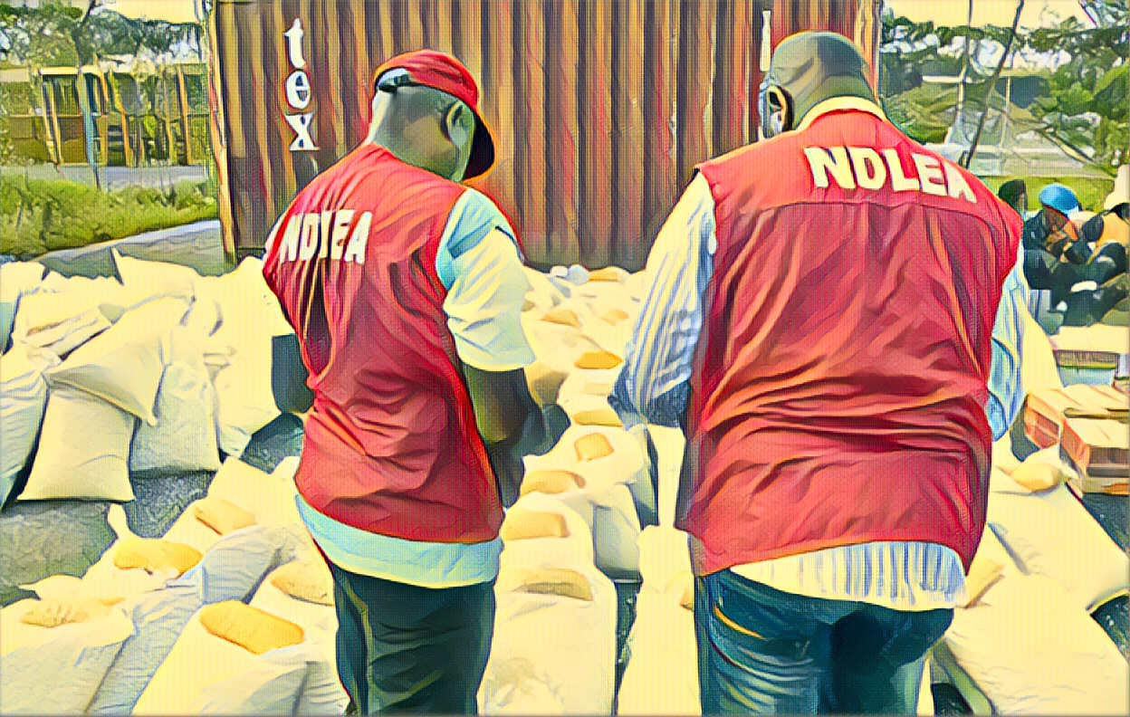 NDLEA Cracks Down on Drug Traffickers in Abuja, Seizes N80m Worth of ...