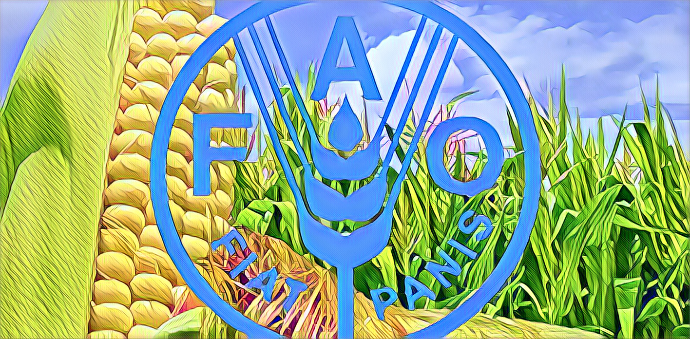 FAO Report: Africa Struggling to Meet Food Security, Nutrition Goals