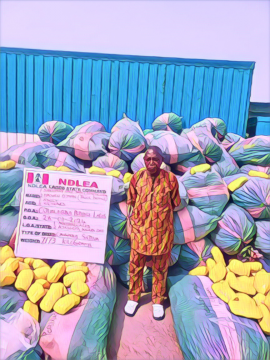 NDLEA Seizes Over 14 Tonnes Kilos of 'Ghanaian Loud', Arrests Key Suspect