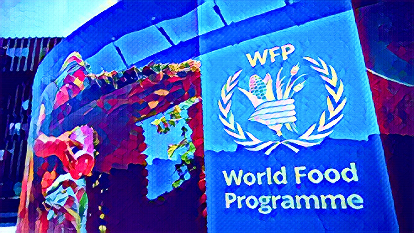 WFP Seeks $228 Million to Avert Hunger Crisis in Northeast Nigeria