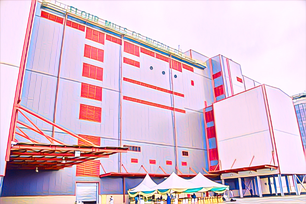 Flour Mills Shares Soar Amid Buyback Approval