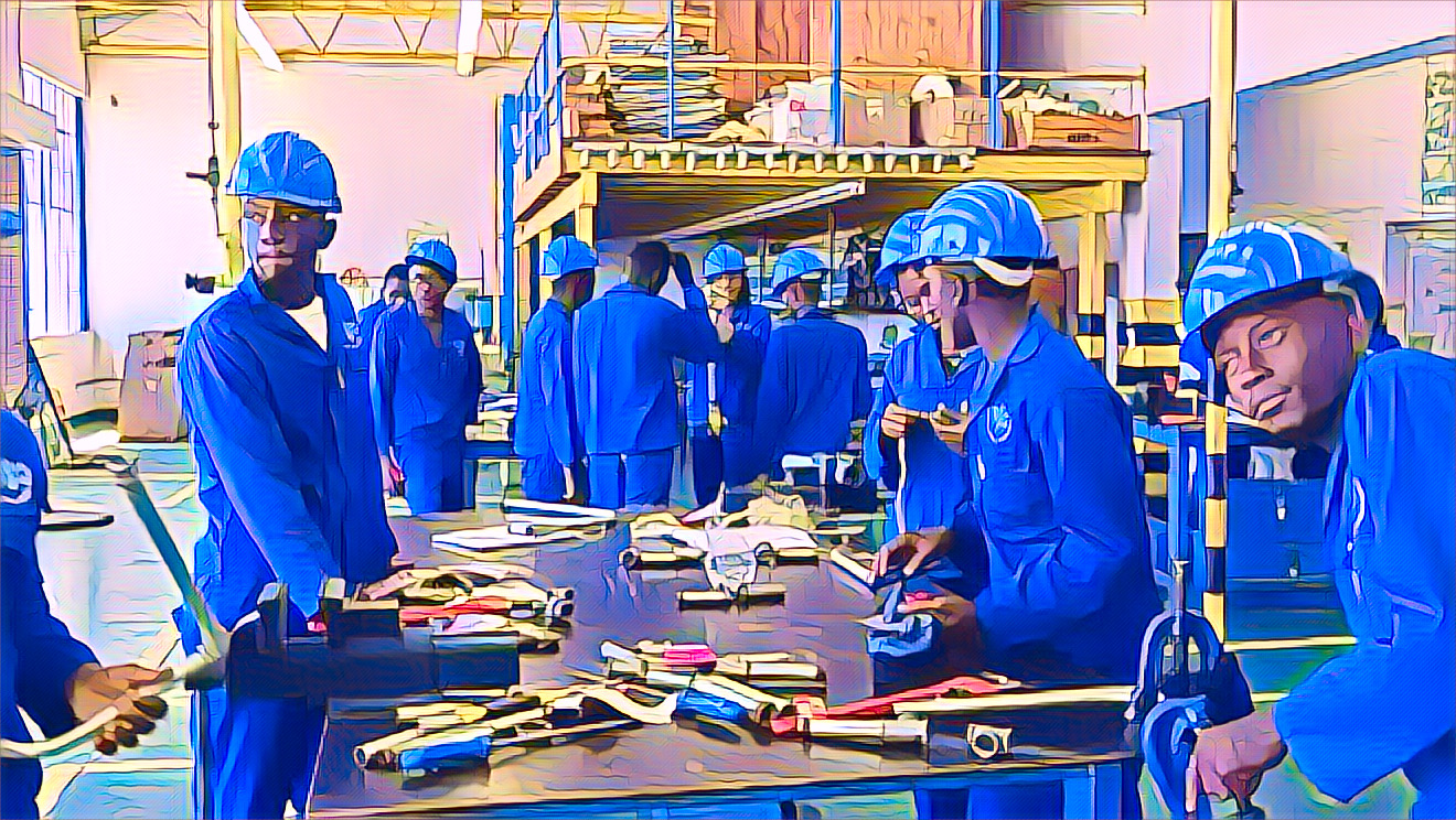The Rise of Vocational Training in Nigeria
