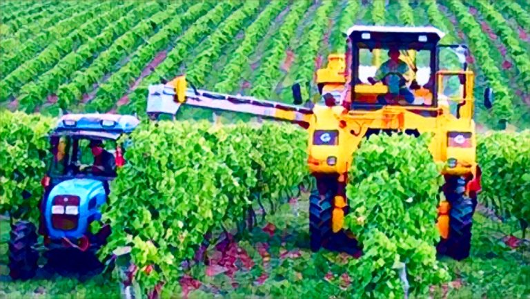 FG Secures $600M Foreign Agriculture Loans to Boost Sector
