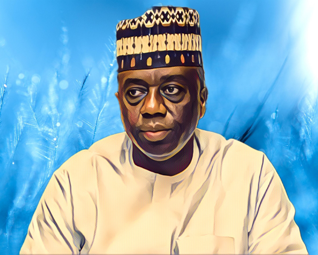 Tinubu Names Ogunjimi Acting Accountant General of the Federation