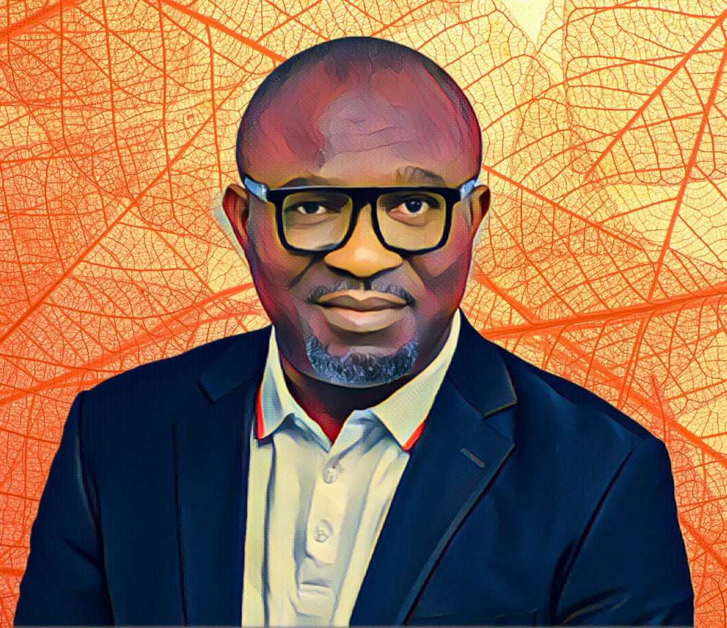 Ude-Okoye Set to Assume Office as PDP National Secretary