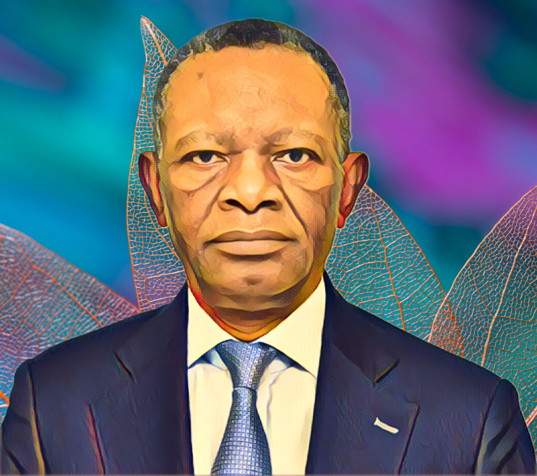 IIF Board Chairman Aigbogun Named to Boost Impact Investment - The ...