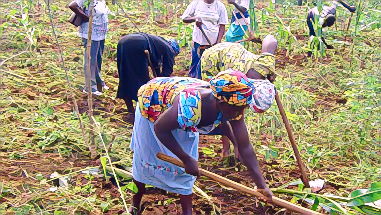 The Untold Struggles of Rural Farmers in Nigeria