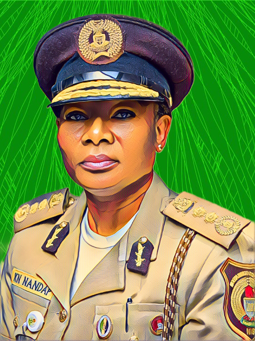 Nandap Kemi: Tinubu Extends Tenure of Immigration CG