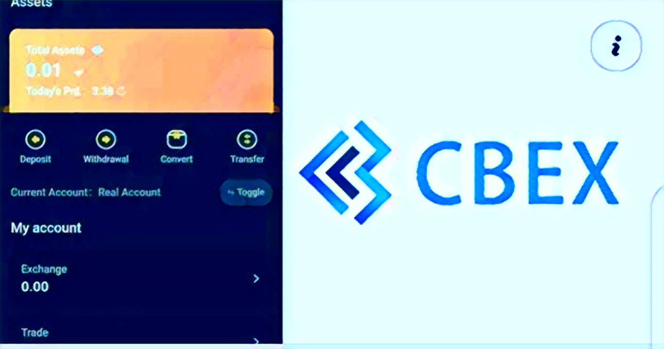 Nigerian Investors Lose Over N1.3 Trillion as CBEX Collapses