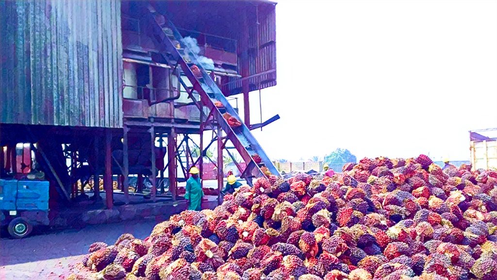 10 Agribusiness Opportunities Nigerians Can Tap Into in 2025