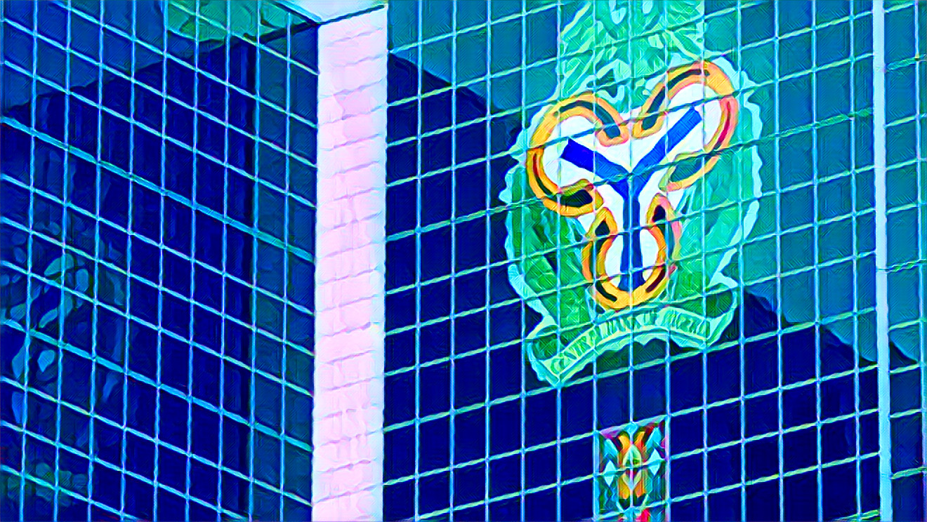 Nigeria Posts Strongest Economic Expansion at 57.6 Index