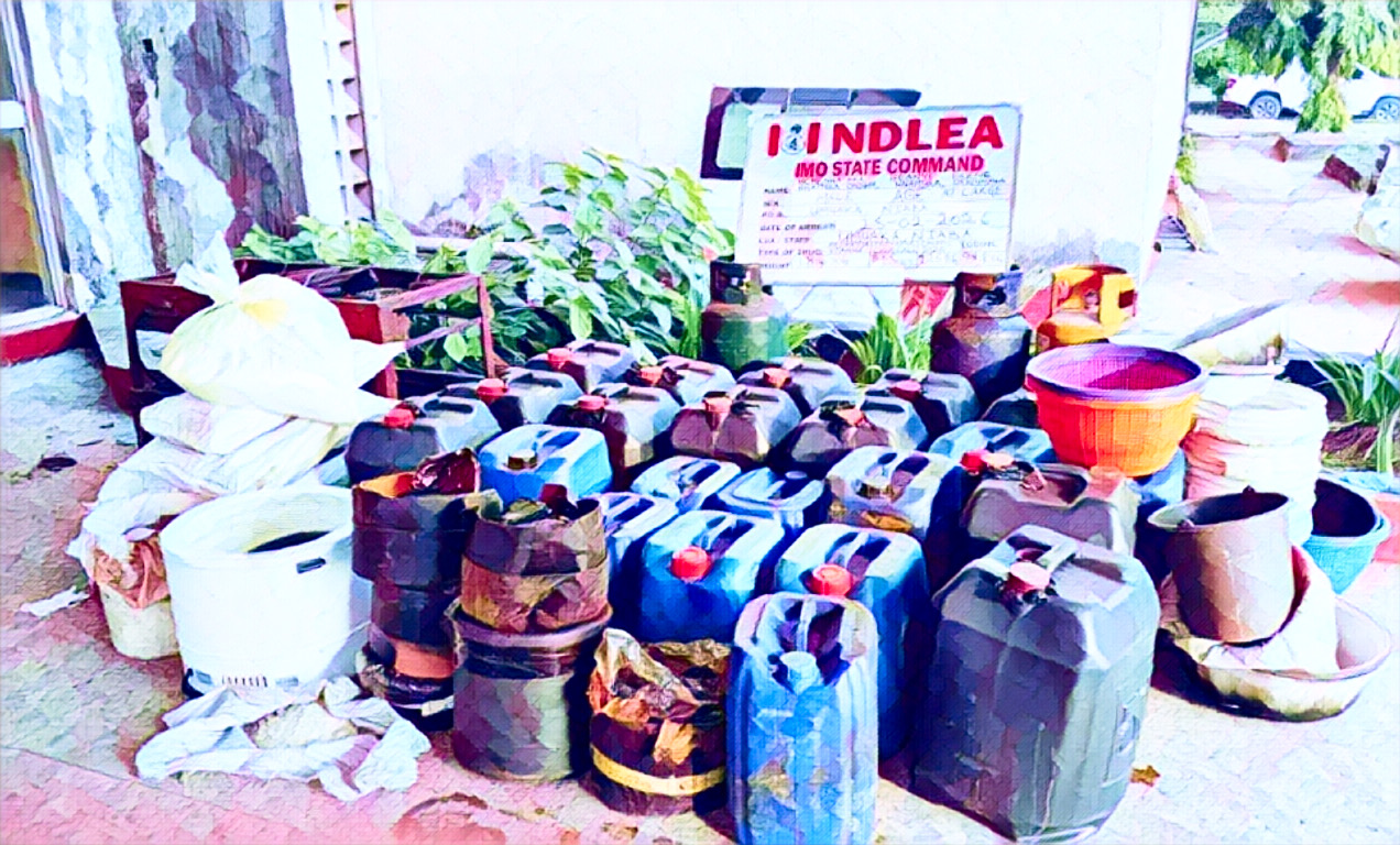 NDLEA Busts Meth Lab in Imo, Arrests Wanted Drug Kingpin After 13 Years ...