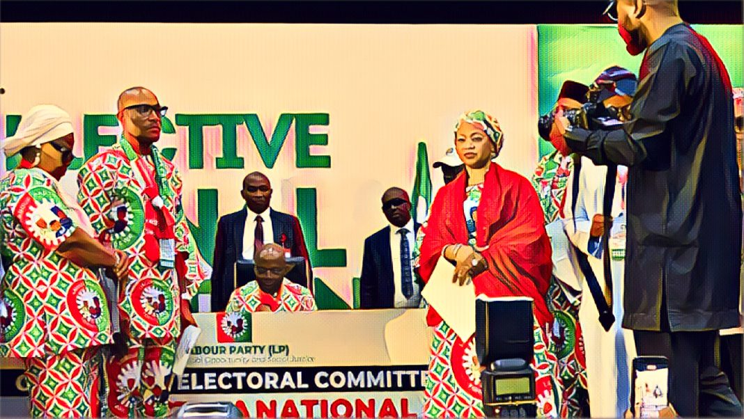 Labour Party Elects Nenadi Usman as National Chair