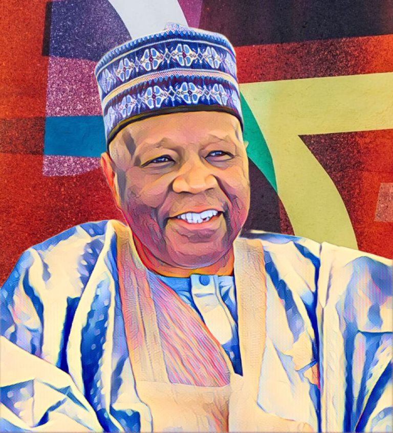 Governor Inuwa Yahaya Wins APC Gombe North Senatorial Ticket